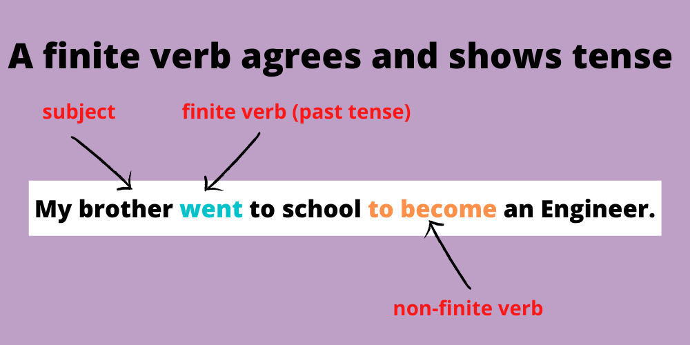 What Is A Finite Verb How To Identify A Finite Verb In A Sentence 